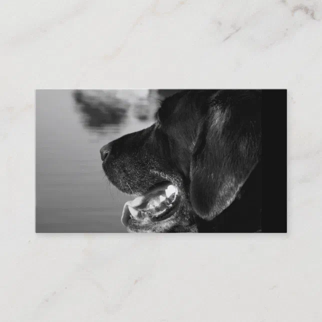 BLACK LABRADOR - Business Card Template | Zazzle