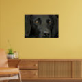 Black Labrador Dog Poster | Zazzle