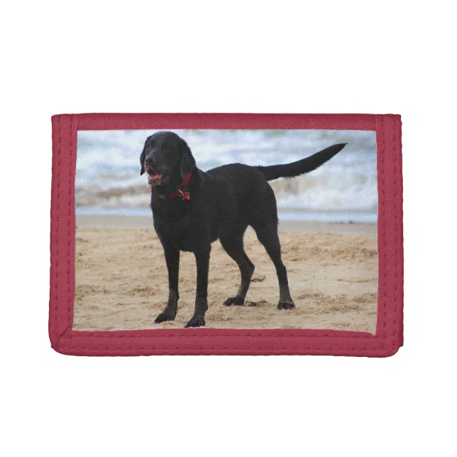 Black Labrador Dog Trifold Wallet | Zazzle