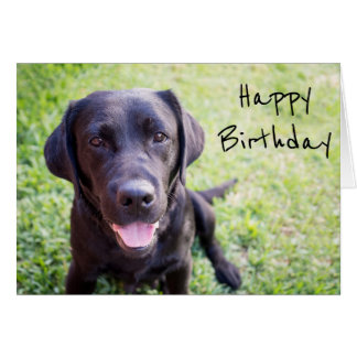 Black Labrador Birthday Cards | Zazzle
