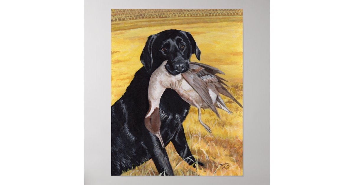 Black Labrador Hunting Dog Poster | Zazzle