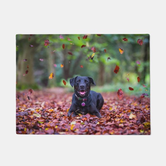 Black Labrador In Fall Leaves Doormat | Zazzle.com