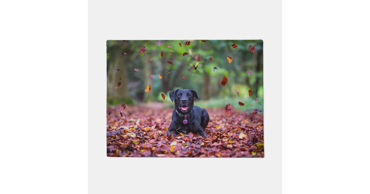 Black Labrador In Fall Leaves Doormat | Zazzle