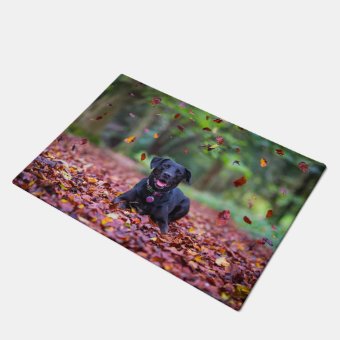 Black Labrador In Fall Leaves Doormat | Zazzle