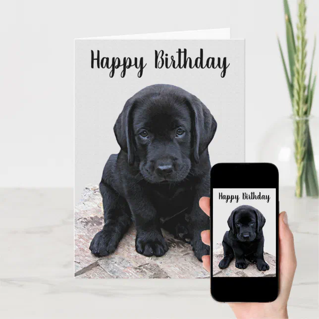 Black Labrador Puppy - Happy Birthday Card | Zazzle