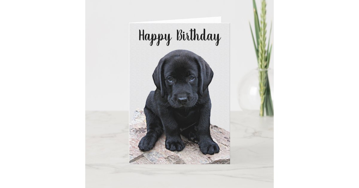 Black Labrador Puppy - Happy Birthday Card | Zazzle