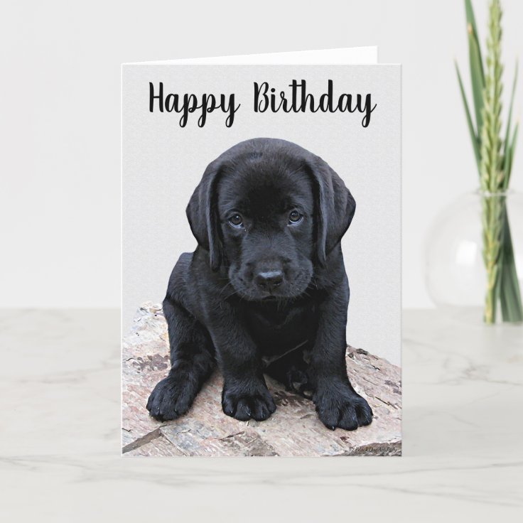Black Labrador Puppy - Happy Birthday Card | Zazzle