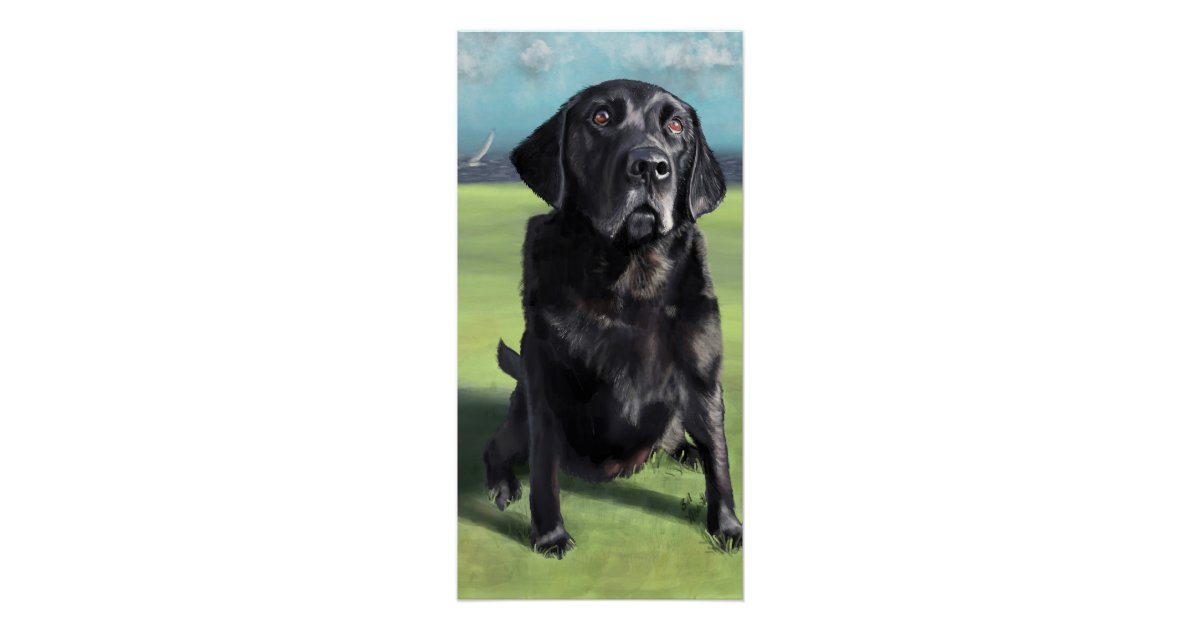 Black Labrador Retriever Arleigh on the Coast Art Poster | Zazzle