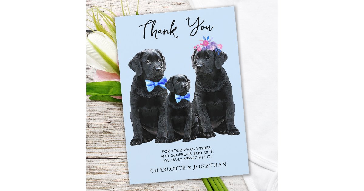 Black Labrador Retriever Blue Boy Puppy Dog Thank You Card | Zazzle