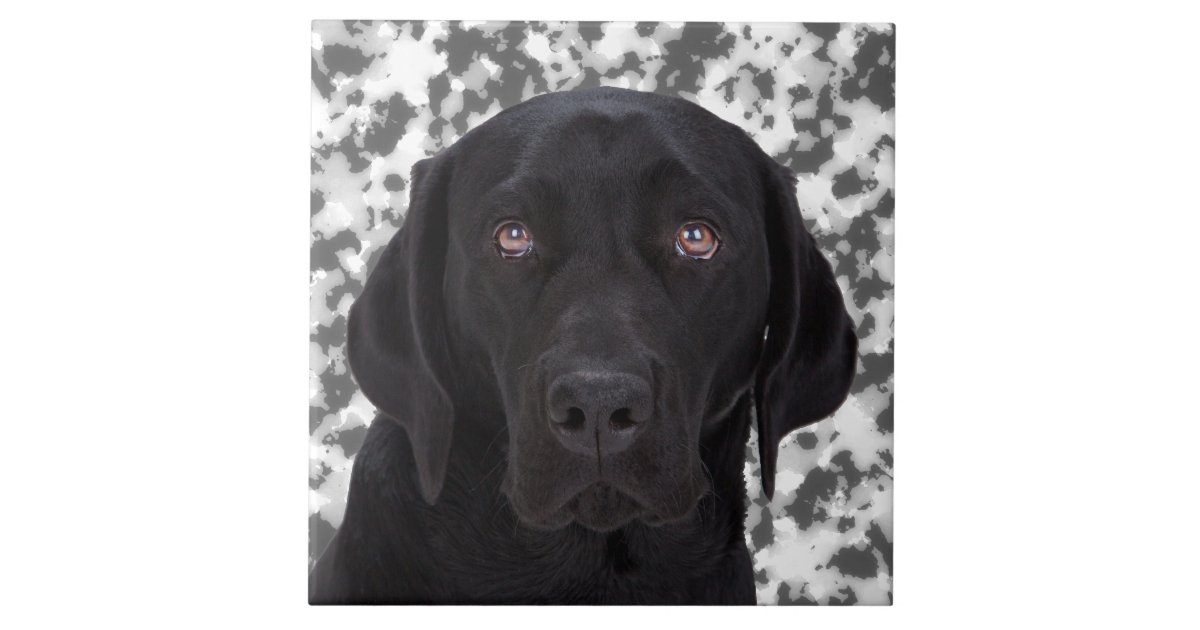 Black Labrador Retriever Ceramic Tile | Zazzle