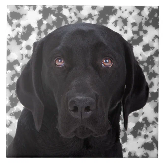 Black Labrador Retriever Ceramic Tile | Zazzle
