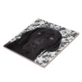 Black Labrador Retriever Ceramic Tile | Zazzle