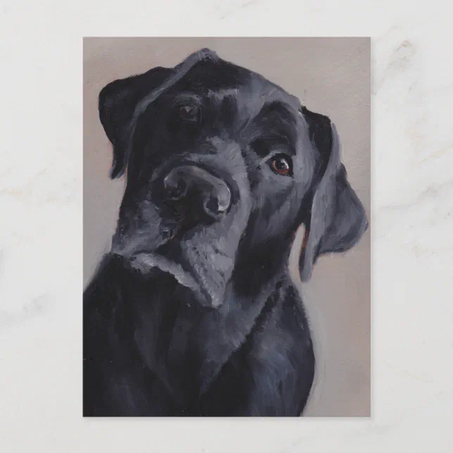 Black Labrador Retriever Dog Art Postcard | Zazzle