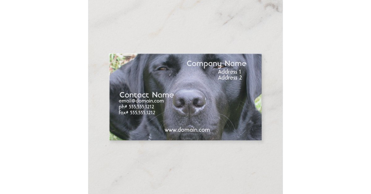 Black Labrador Retriever Dog Business Card | Zazzle