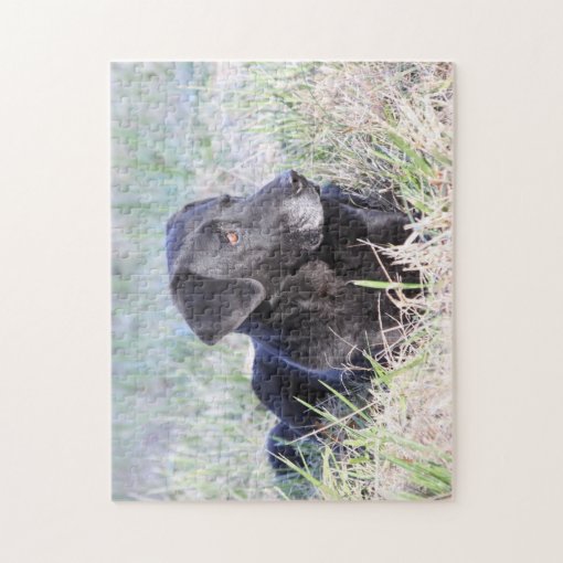 Black Labrador Retriever Jigsaw Puzzle | Zazzle