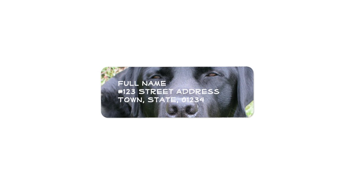 Black Labrador Retriever Mailing Label | Zazzle