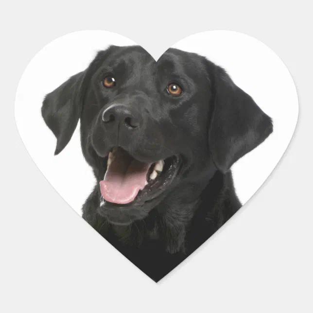 Black Labrador Retriever Puppy Dog Sticker | Zazzle