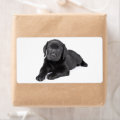 Black Labrador Retriever Puppy Dog Sticker | Zazzle