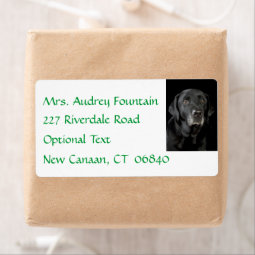 Black Labrador Retriever Return Name Address Label | Zazzle
