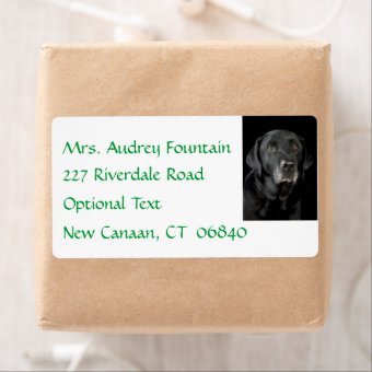 Black Labrador Retriever Return Name Address Label | Zazzle