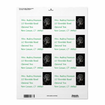 Black Labrador Retriever Return Name Address Label | Zazzle