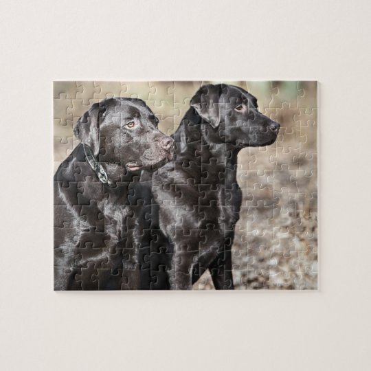 Black Labrador Retrievers Jigsaw Puzzle | Zazzle.com