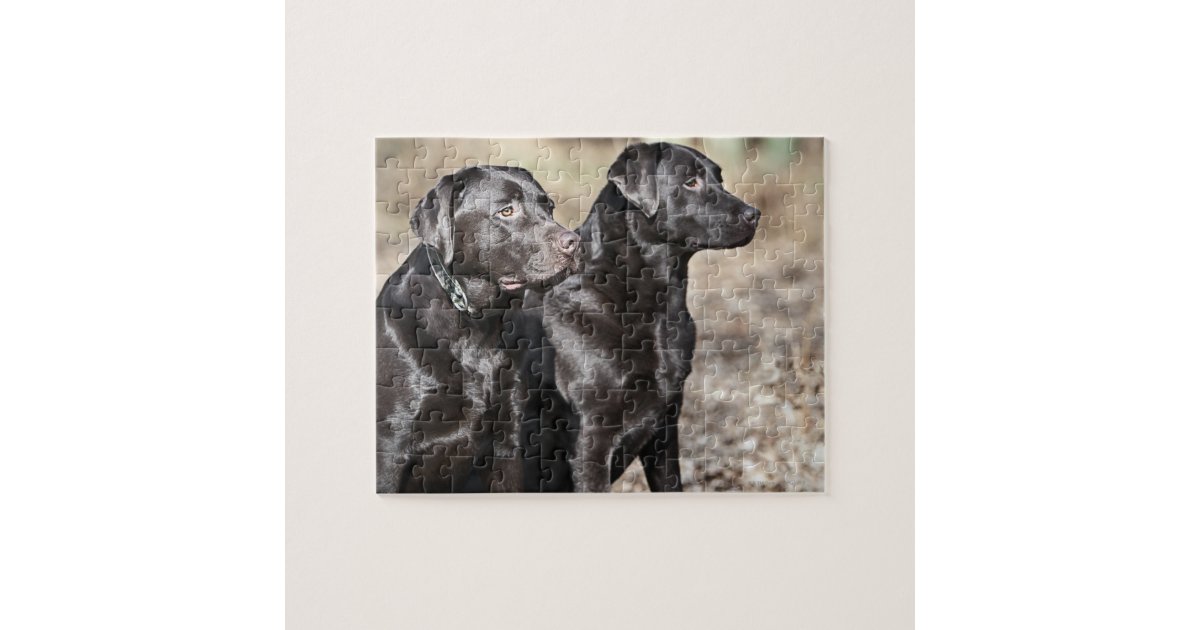 Black Labrador Retrievers Jigsaw Puzzle | Zazzle