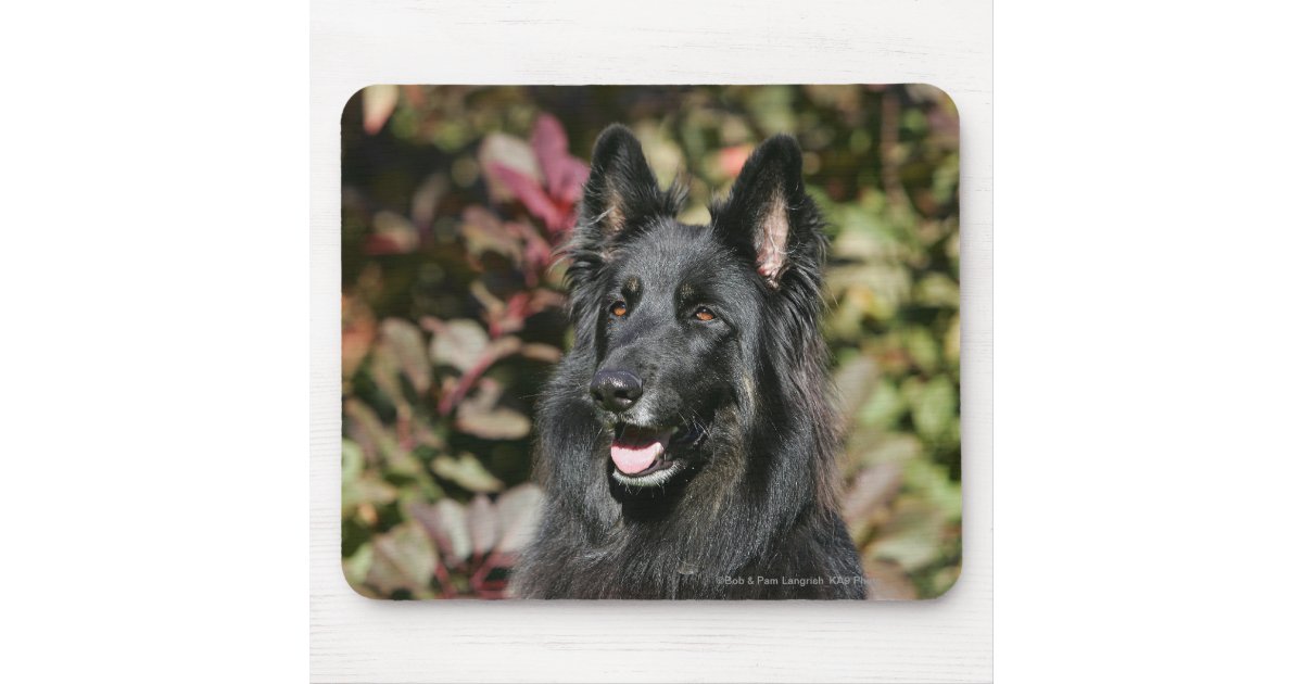 Black Long Haired German Shepherd Mouse Pad | Zazzle