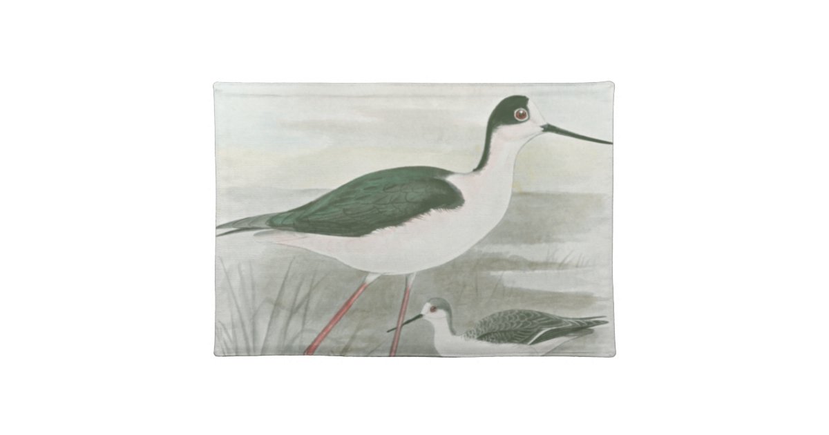 Black-Necked Stilts by the Water Placemat | Zazzle