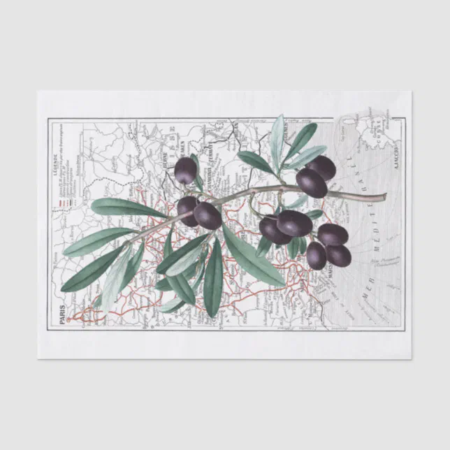 Black Olive Branch Map France Decoupage Vintage Tissue Paper | Zazzle