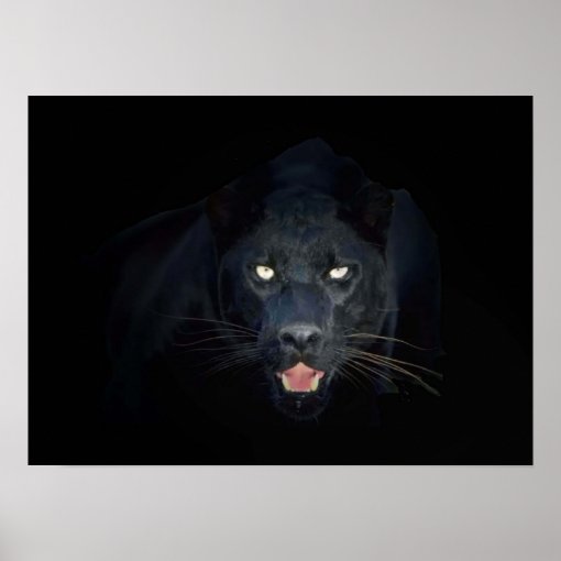 Black panther poster | Zazzle