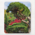 Black Pine and Red Japanese Maple Tree Mouse Pad | Zazzle