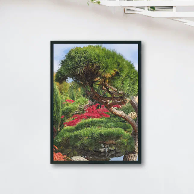Black Pine and Red Japanese Maple Tree Poster | Zazzle