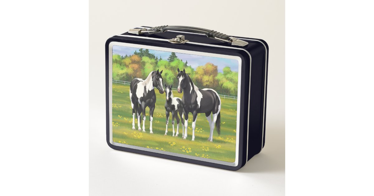Black Pinto Paint Quarter Horses In Summer Pasture Metal Lunch Box | Zazzle