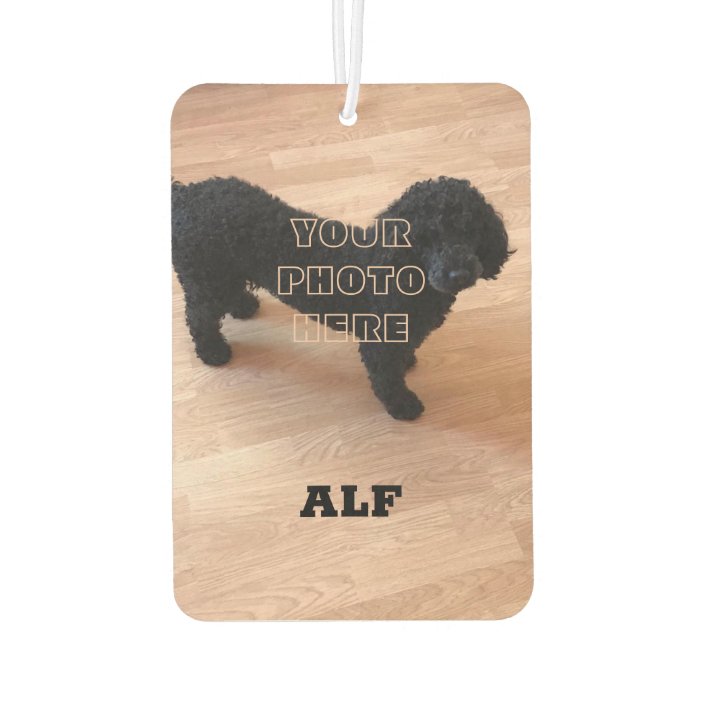 Black Poodle Air Freshener | Zazzle.com