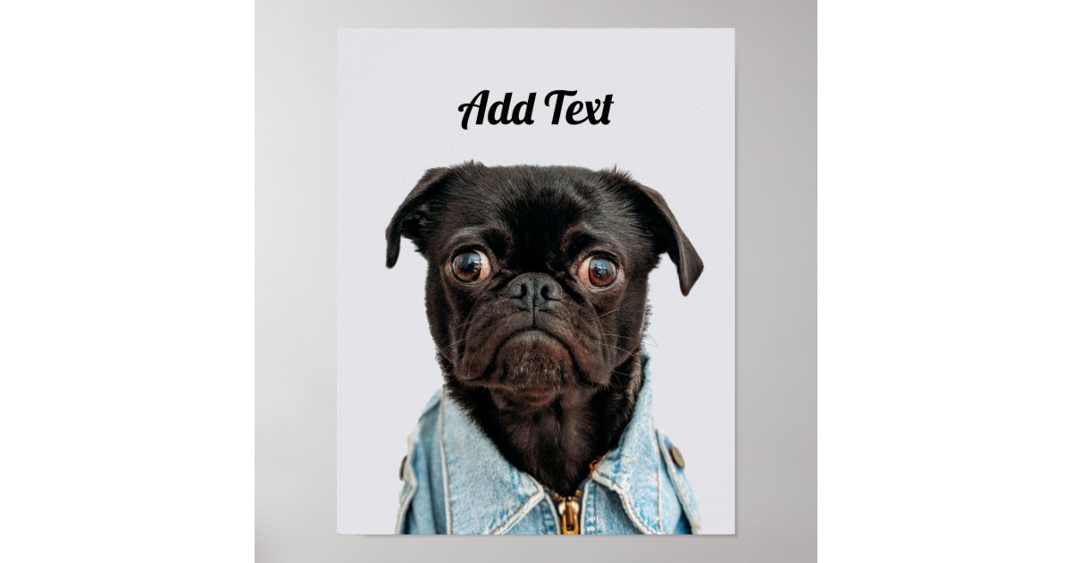 Black Pug Dog Add Text Poster | Zazzle