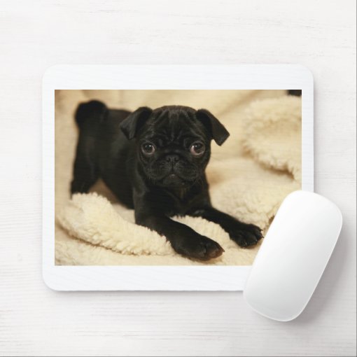 Black Pug Puppy Mouse Pad | Zazzle