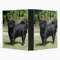 Black Pug Standing Looking at Camera Binder | Zazzle