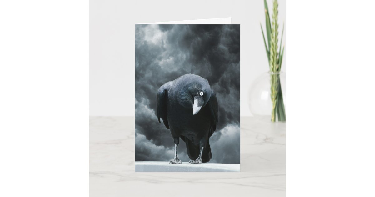 Black Raven Card | Zazzle