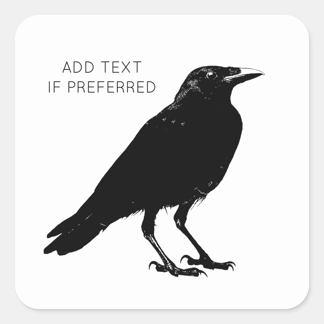 Black Raven Corvid Bird Stickers | Zazzle