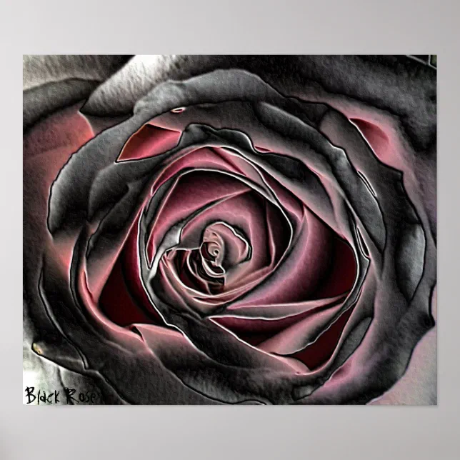 Black Rose Canvas Print Poster | Zazzle