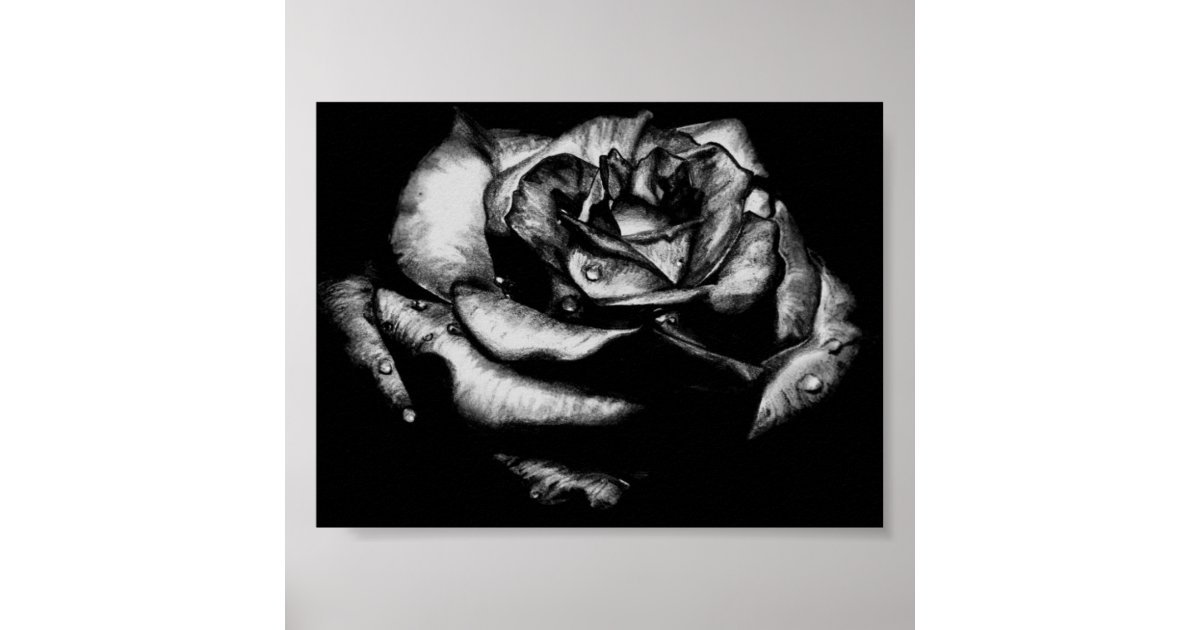 Black Rose Poster | Zazzle