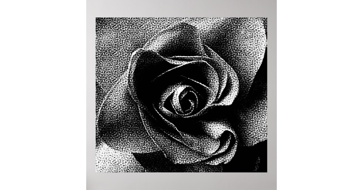 BLACK ROSE POSTER | Zazzle
