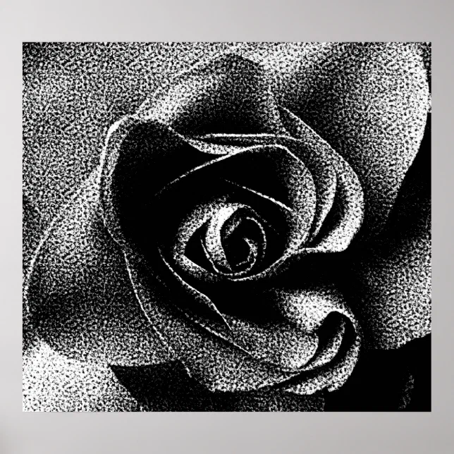 BLACK ROSE POSTER | Zazzle