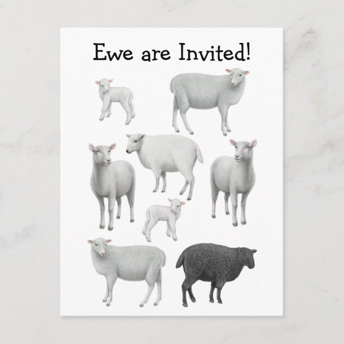 Black Sheep Invitation | Zazzle.com