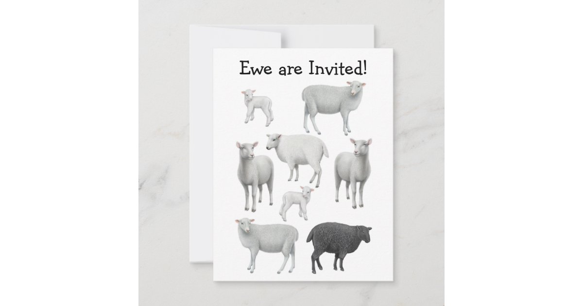 Black Sheep Invitation | Zazzle