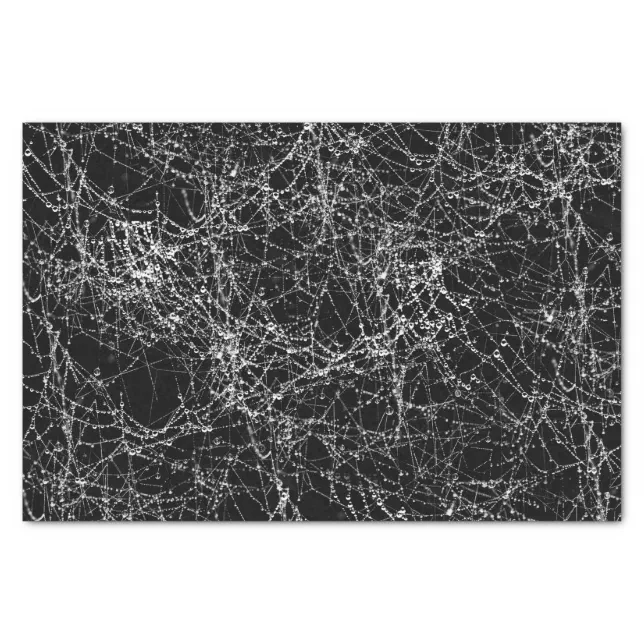 Black & Silvery Spider Webs Chic Halloween Party Tissue Paper | Zazzle