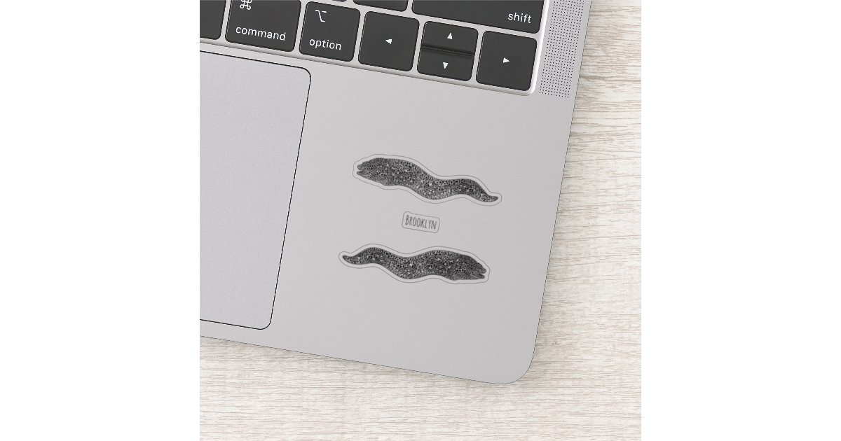 Black spotted moray eel cartoon illustration sticker | Zazzle