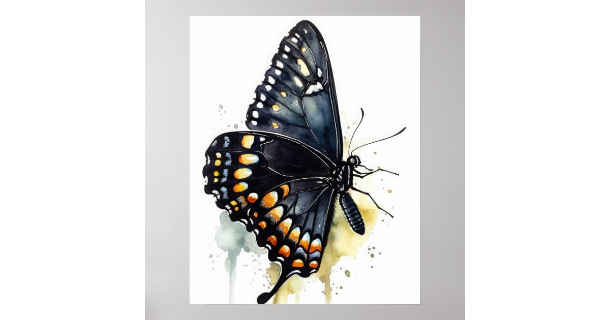 Black Swallowtail Butterfly Art Print Poster | Zazzle