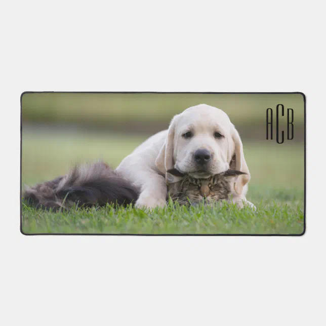 Black Three Letter Monogram Pet Photo Desk Mat | Zazzle